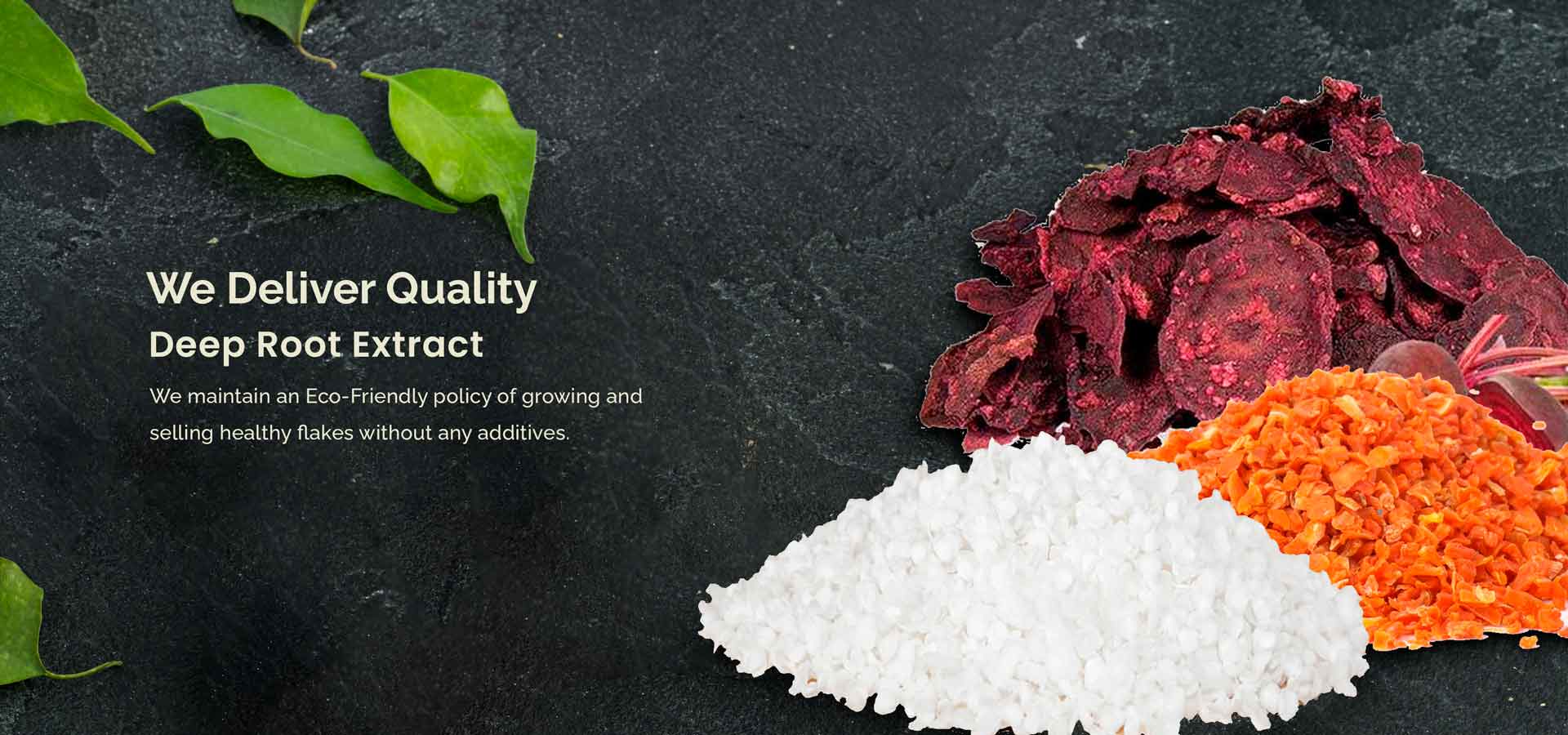 Enriched Nutrition